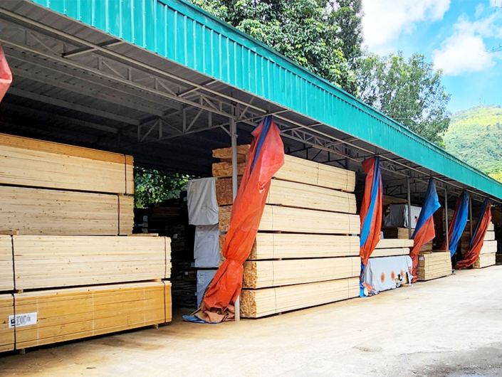 Lumber Products - Filtra Timber